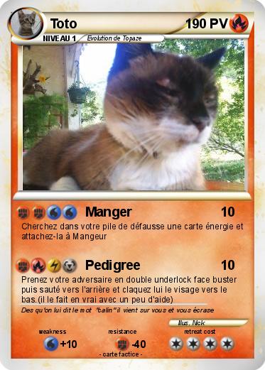Pokémon Toto 112 112 - Manger - Ma carte Pokémon