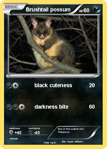 Pokémon Brushtail possum - black cuteness - My Pokemon Card
