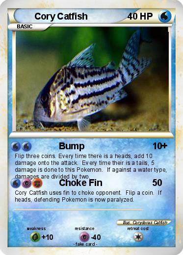 Pokémon Cory Catfish - Bump - My Pokemon Card