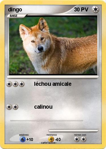Pokémon dingo 38 38 - léchou amicale - Ma carte Pokémon