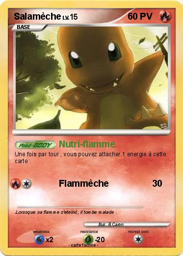 Pokémon Salameche 248 248 - Nutri-flamme - Ma carte Pokémon