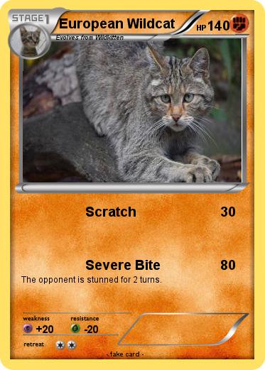 Pokémon European Wildcat - Scratch - My Pokemon Card