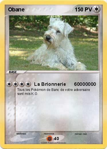 Pokémon Obane - La Brionnerie 60000000 - Ma carte Pokémon