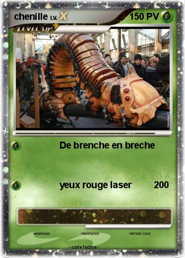 Pokémon chenille 13 13 - De brenche en breche - Ma carte Pokémon