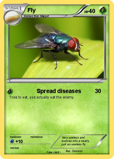 Pokémon Fly 159 159 - Spread diseases - My Pokemon Card