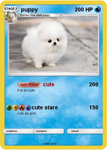 Pokémon puppy 1130 1130 - cute - My Pokemon Card