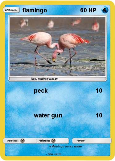 Pokémon flamingo 48 48 - peck - My Pokemon Card
