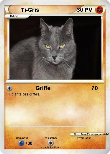 Pokémon Ti Gris - Griffe - Ma carte Pokémon