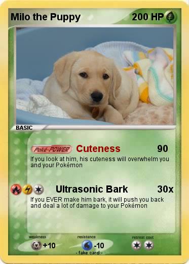 Pokémon Milo the Puppy - Cuteness - My Pokemon Card