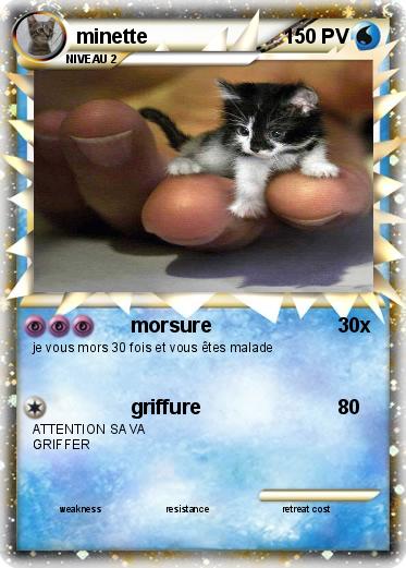 Pokémon minette 21 21 - morsure - Ma carte Pokémon