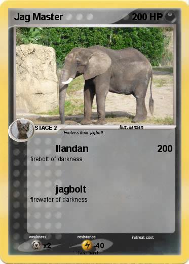 Pokémon Jag Master - llandan - My Pokemon Card