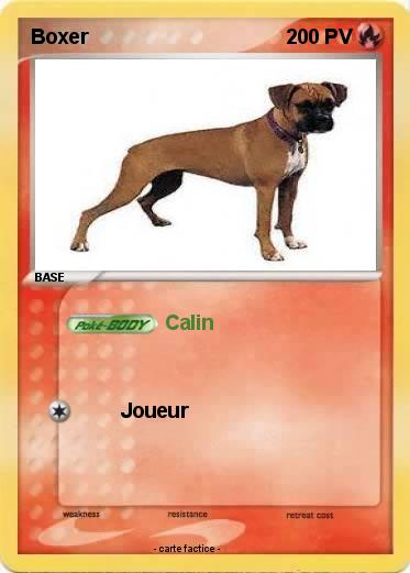 Pokémon Boxer 24 24 - Calin - Ma carte Pokémon