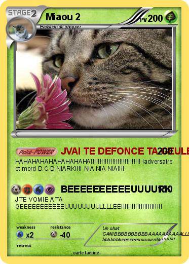 Pokémon Miaou 2 2 2 - JVAI TE DEFONCE TA GEULE - Ma carte Pokémon