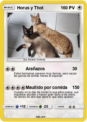 Pokémon Horus y Thot - Arañazos - Mi carta pokémon