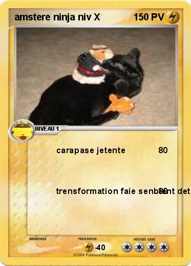 Pokémon joanna krupa avec des gros sin niv 1 1 - carapase jetente - Ma ...