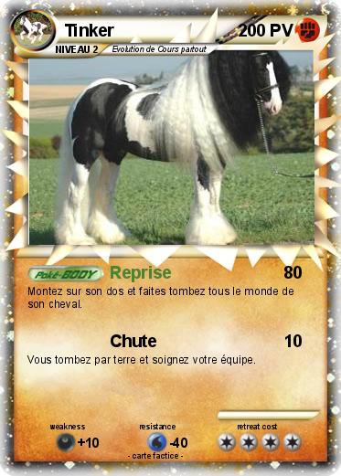 Pokémon Tinker 13 13 - Reprise - Ma carte Pokémon