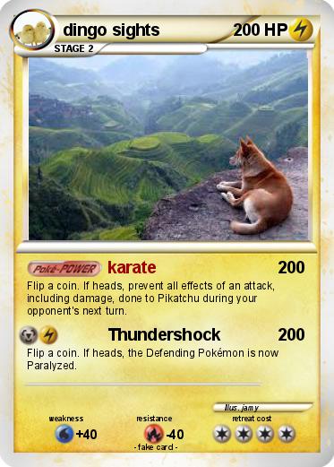 Pokémon dingo sights - karate - My Pokemon Card