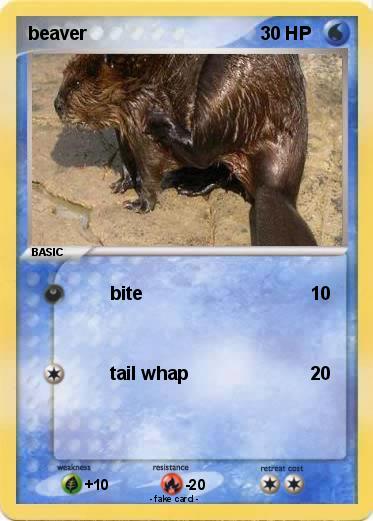 Pokémon beaver 77 77 - bite - My Pokemon Card