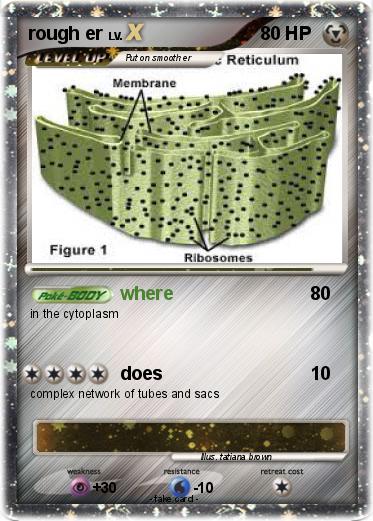 Pokémon rough er 7 7 - where - My Pokemon Card