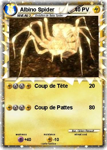Pokémon Albino Spider - Coup de Tête - Ma carte Pokémon