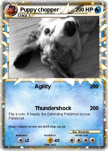 Pokémon Puppy chopper - Agility - My Pokemon Card