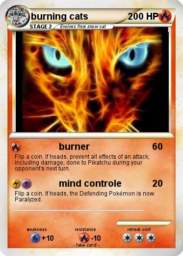 Pokémon burning cats - burner - My Pokemon Card