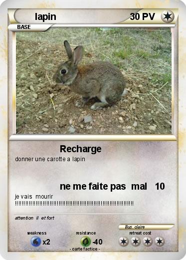 Pokémon lapin 2111 2111 - Recharge - Ma carte Pokémon
