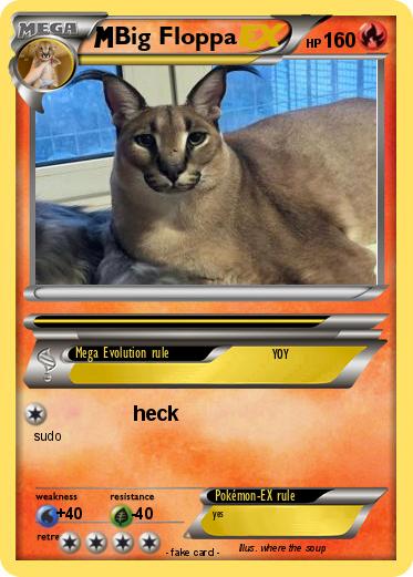 Pokémon Big Floppa 17 17 - heck - My Pokemon Card