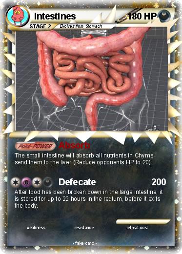 Pokémon Intestines 1 1 - Absorb - My Pokemon Card