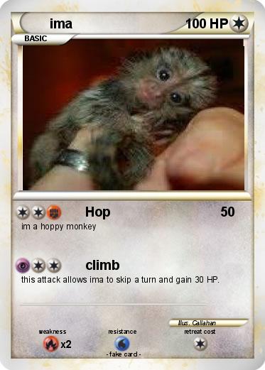 Pokémon ima - Hop - My Pokemon Card