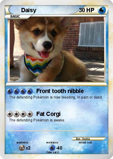 Pokémon Daisy 320 320 - Front tooth nibble - My Pokemon Card