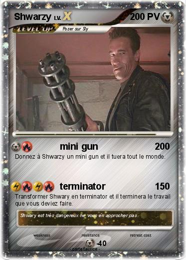 Pokémon Shwarzy - mini gun - Ma carte Pokémon
