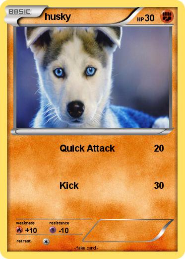 Pokémon husky 281 281 - Quick Attack - My Pokemon Card
