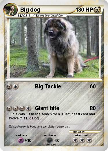 Pokémon Big dog 43 43 - Big Tackle - My Pokemon Card