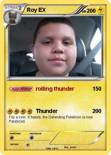 Pokémon Roy EX 1 1 - rolling thunder - My Pokemon Card