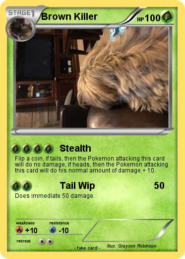 Pokémon Brown Killer - Stealth - My Pokemon Card