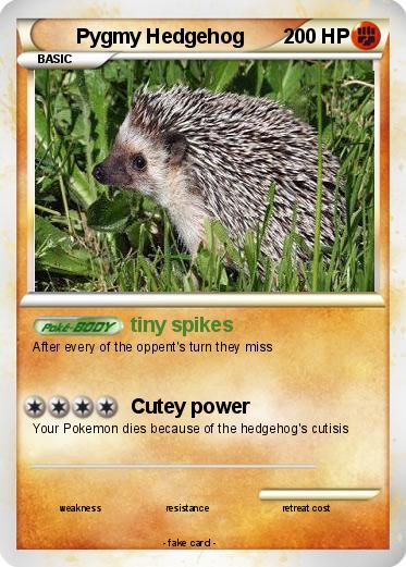 Pokémon Pygmy Hedgehog - tiny spikes - My Pokemon Card