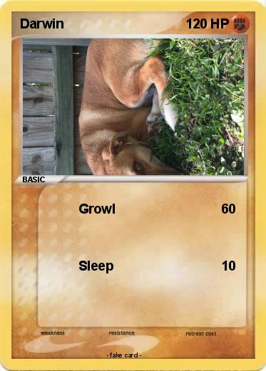 Pokémon Darwin 398 398 - Growl - My Pokemon Card