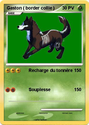 Pokémon Gaston border collie - Recharge du tonnère - Ma carte Pokémon
