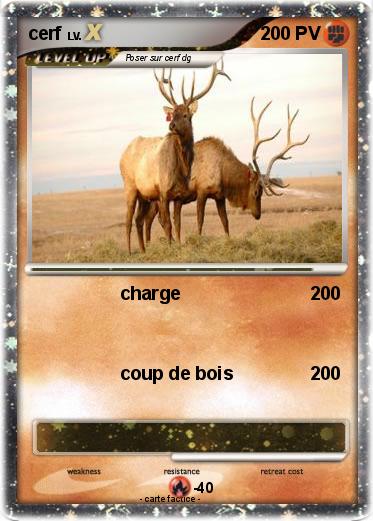 Pokémon cerf 12 12 - charge - Ma carte Pokémon