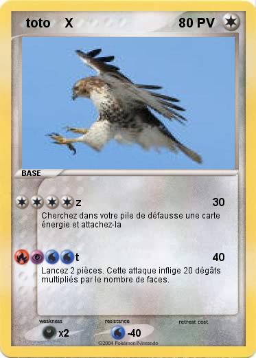Pokémon toto X - z - Ma carte Pokémon