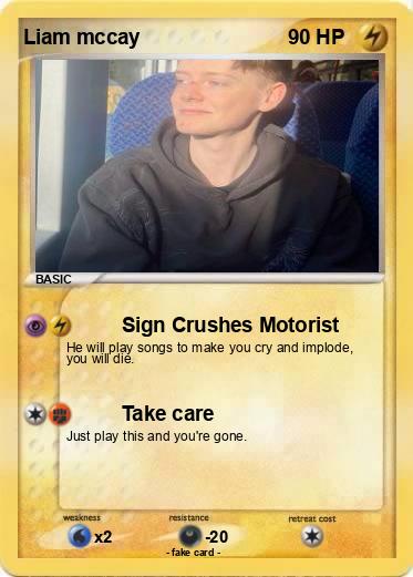 Pokémon Liam mccay - Sign Crushes Motorist - My Pokemon Card