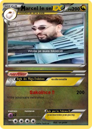 Pokémon arcel le sel - Sakoince !! - Ma carte Pokémon