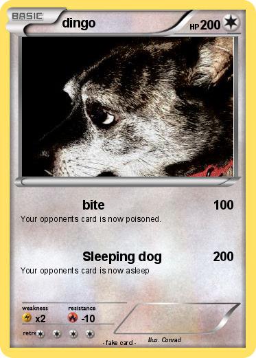 Pokémon dingo 96 96 - bite - My Pokemon Card